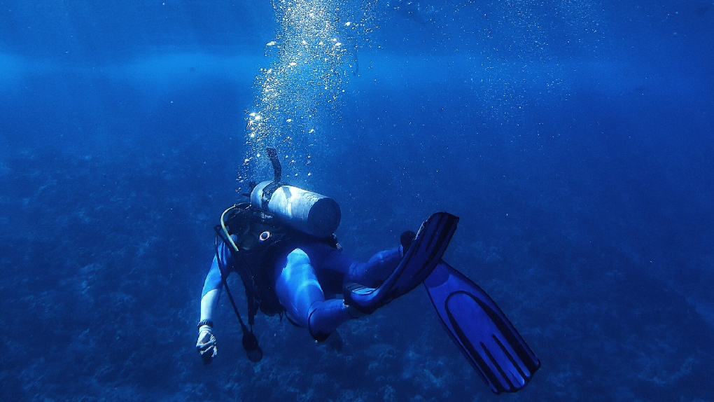 Diving – The Palms Oceanfront